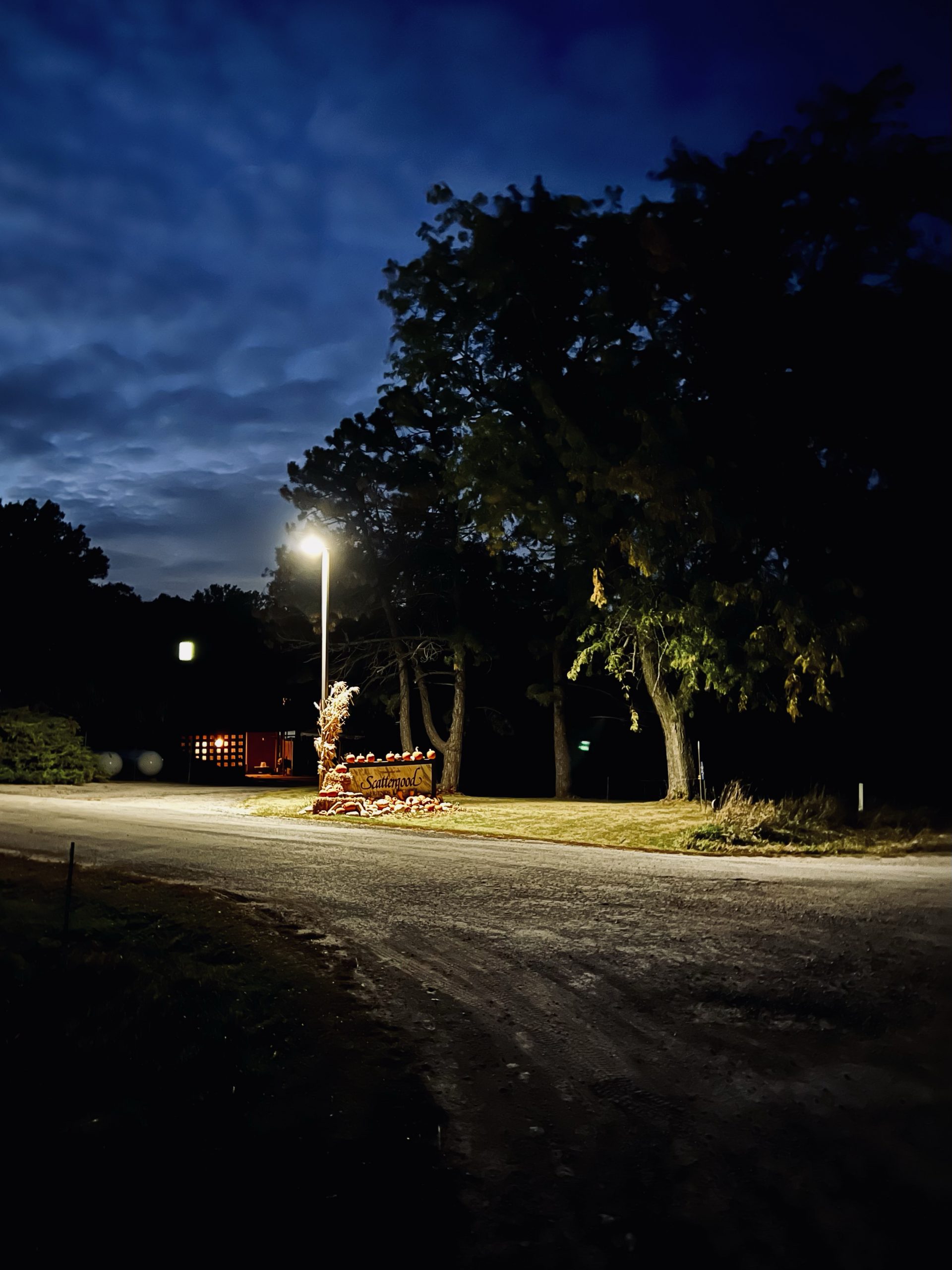 Decorative Gourd Season – Nick Bergus